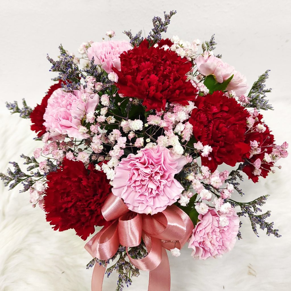 Mixed pink and red carnations arranged in a vase - Blooming