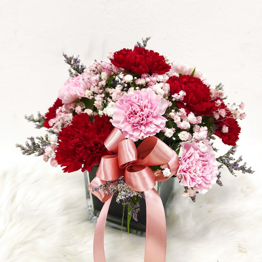 Mixed pink and red carnations arranged in a vase - Blooming