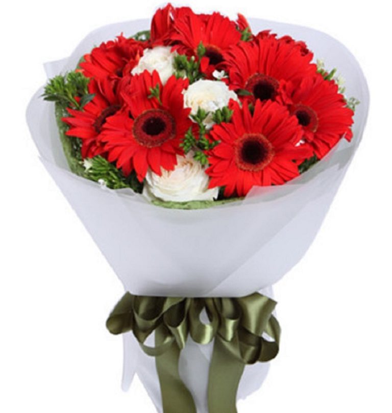 Red daisy & white roses in a special hand bouquet - Blooming Florist