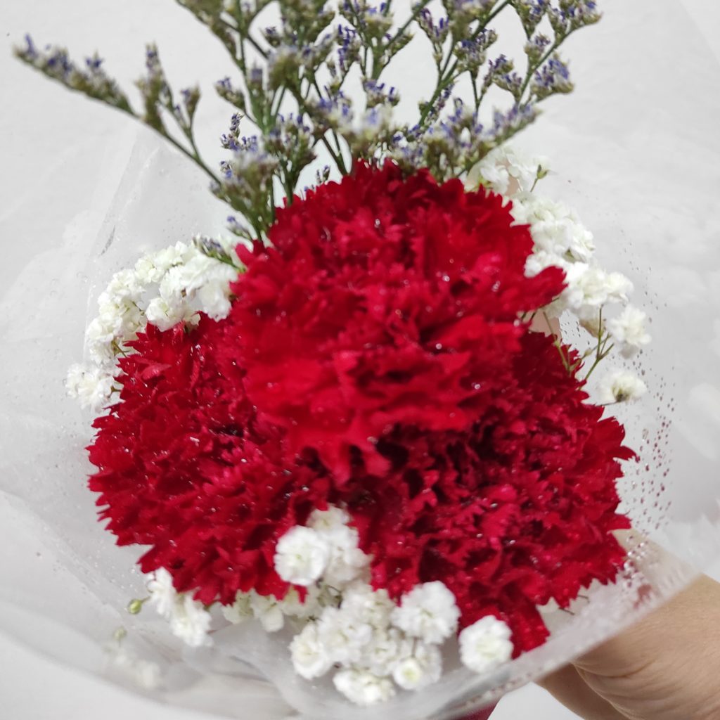 Looking for something small - Blooming. 3 Carnation Bouquet