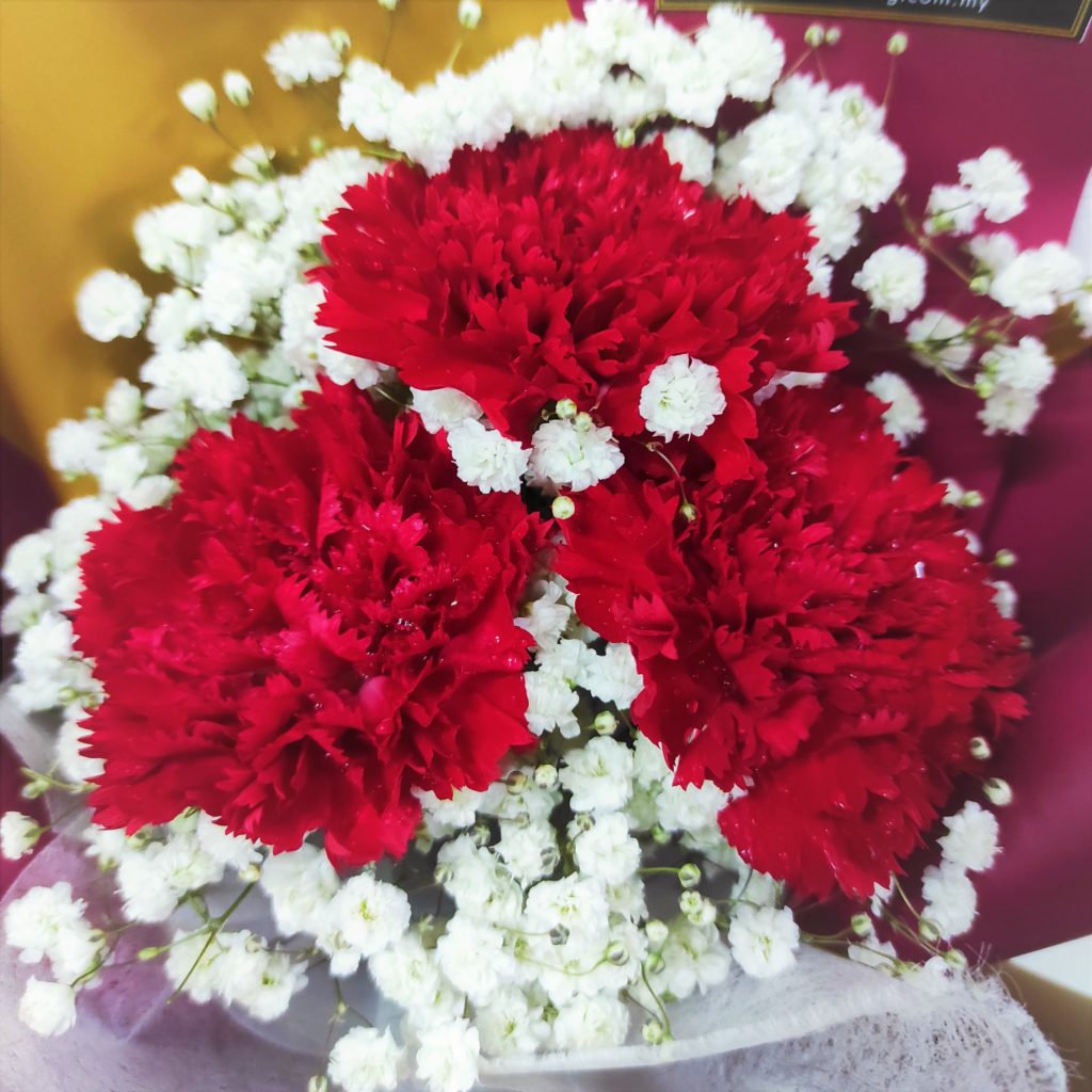 Red Carnation Hand Bouquet Delivery - Blooming Florist