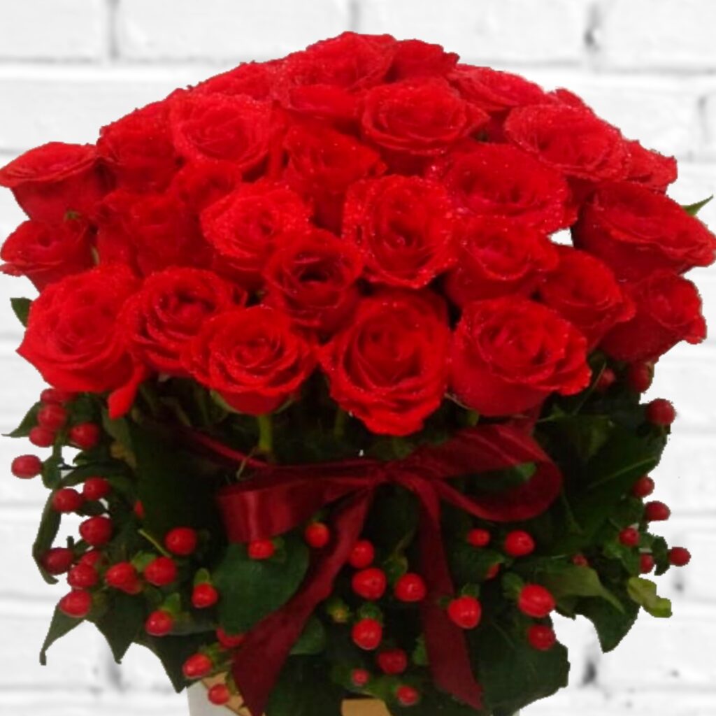 36 red Roses with in a box - Blooming