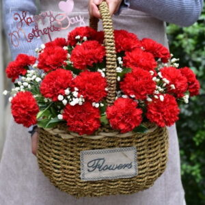Online 20 carnation in basket Mother's Day - Blooming