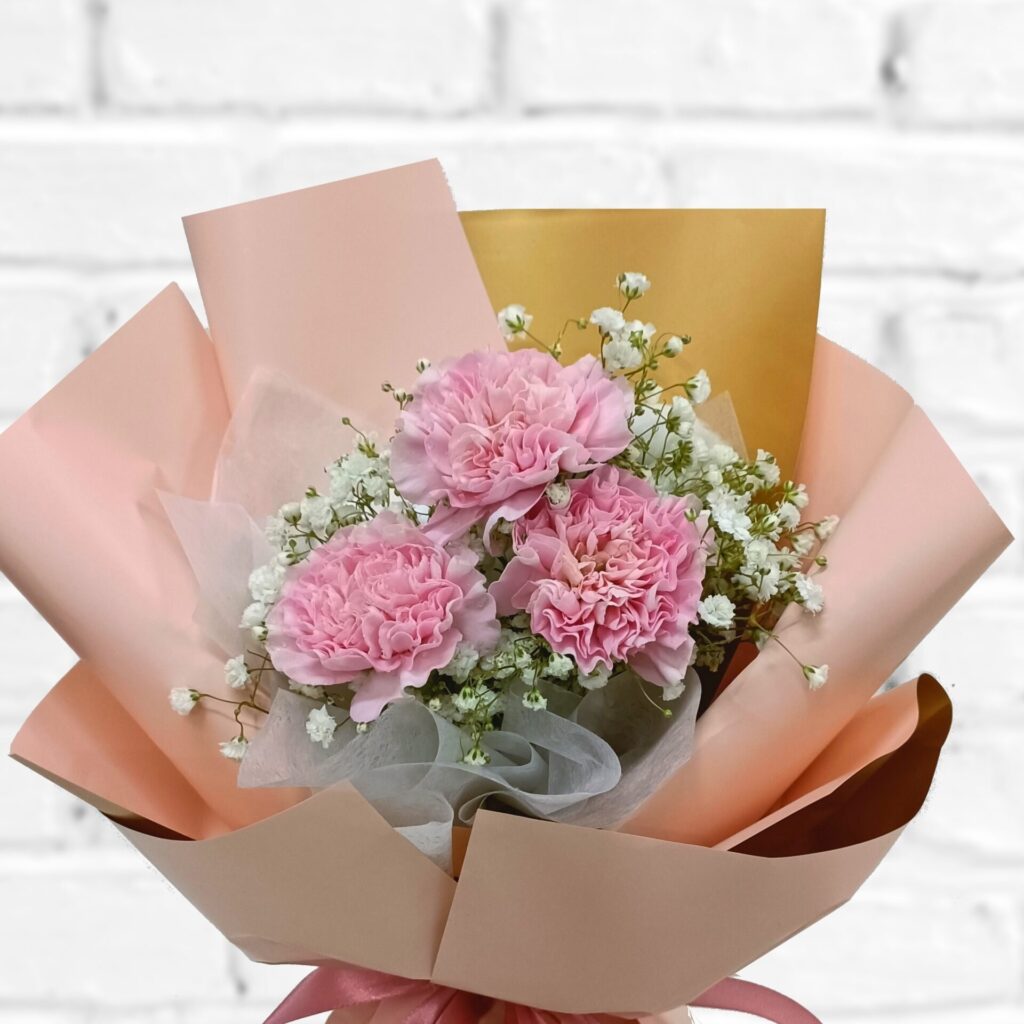 Pink carnation hand bouquet - Blooming
