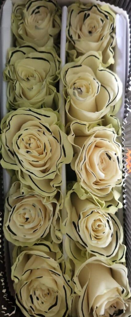 You're D' Only Red Roses bouquet for my date - Blooming