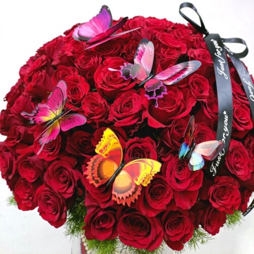 Buy 200 Red Roses in an elegant silver box - Blooming