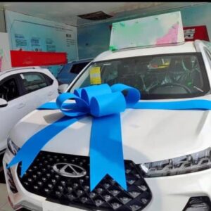 Big Car Ribbon Archives - Blooming