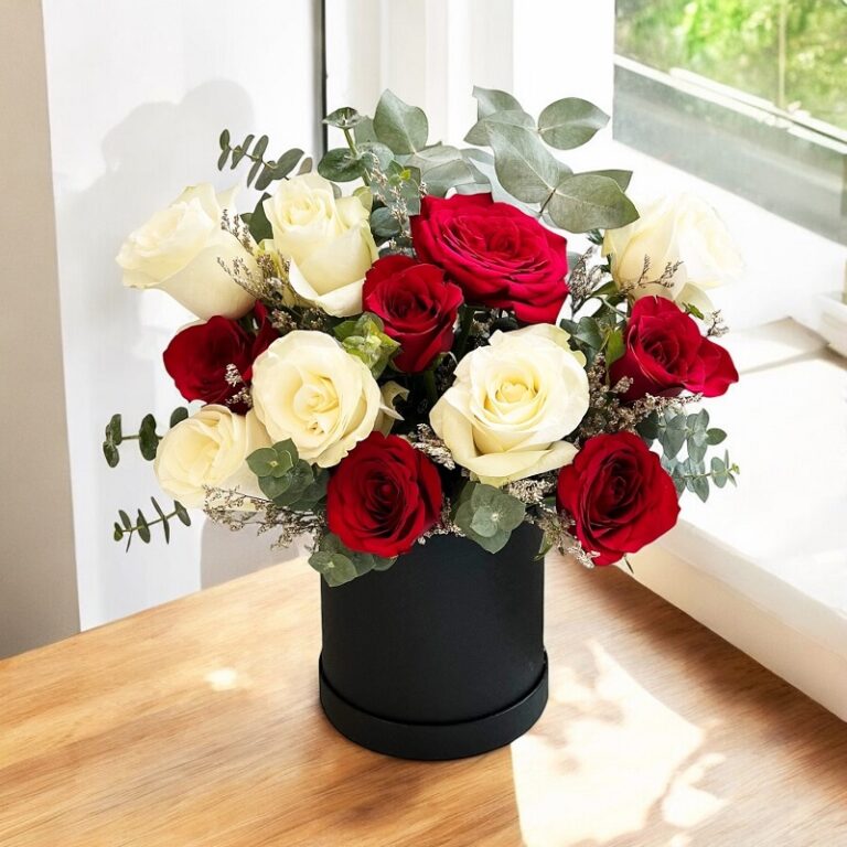 Sweet white and red roses in an elegant box - Blooming