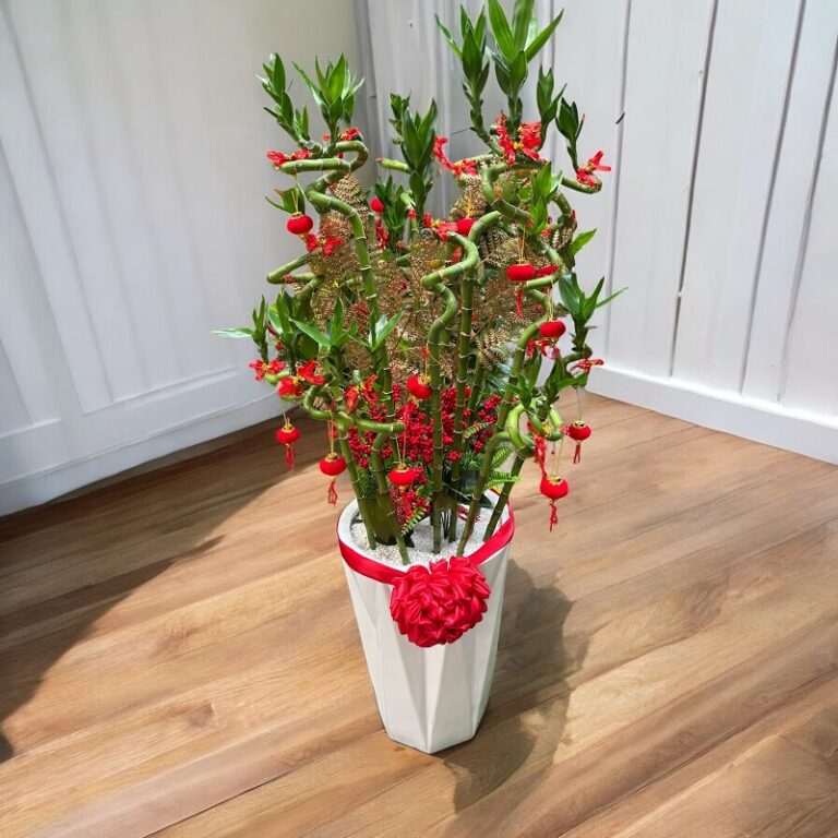 Lucky Bamboo Arrangement - Blooming