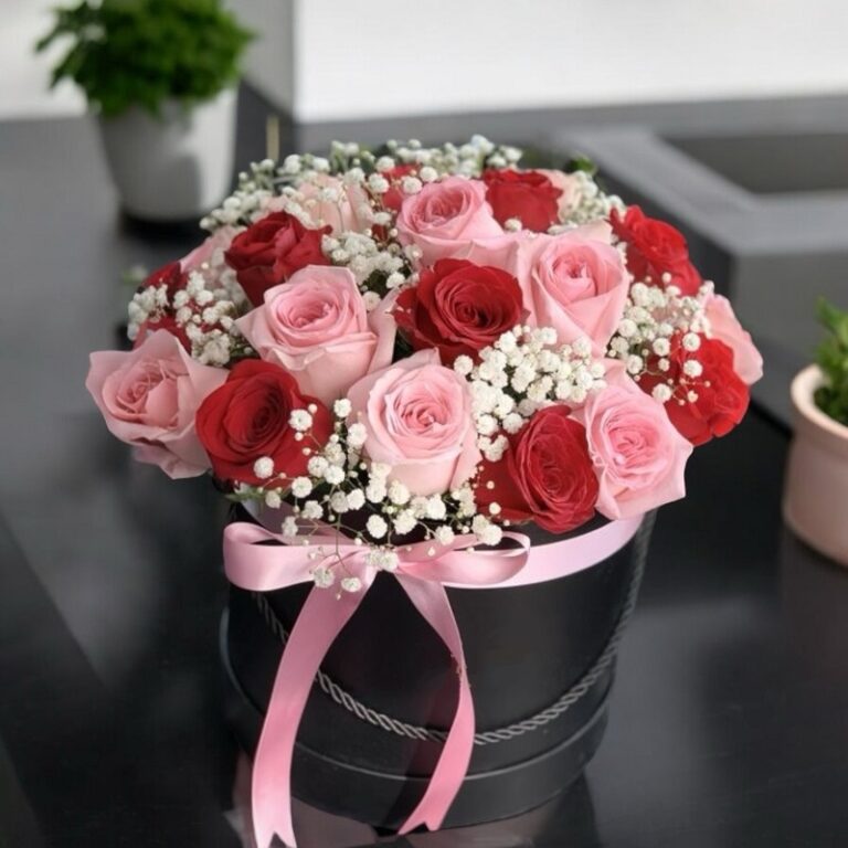 Brilliant red and pink roses in an elegant box - Blooming